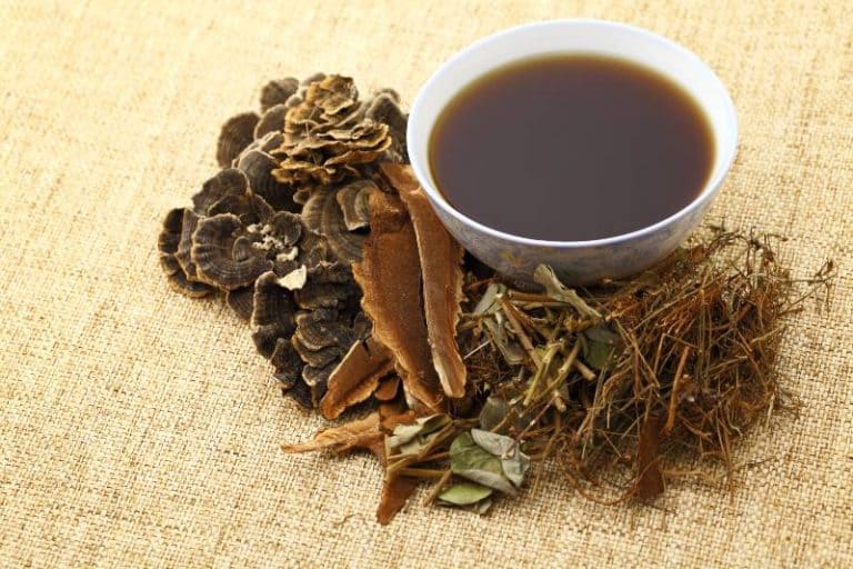 A Journey through Thai Traditional Medicine - Better Living Asia