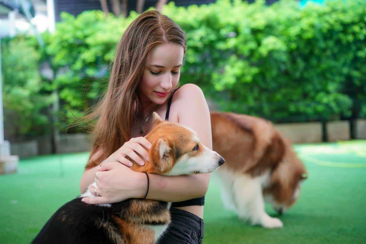 Complete Guide to Importing Pets to Thailand: For Expats - Better ...
